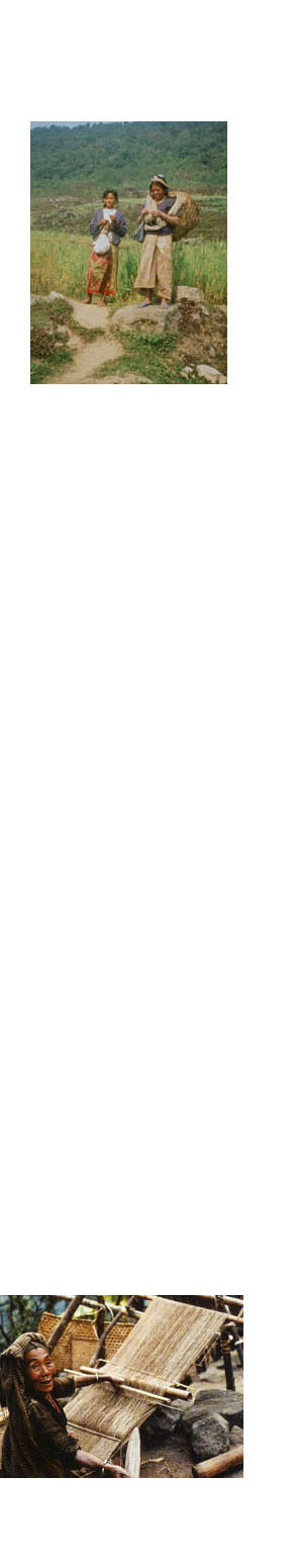 Contact The Dunsmore Nepalese Textile Trust for Nepalese Nettle